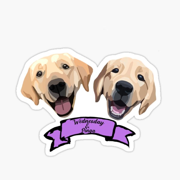 "pinga/wednesday" Sticker by ttuck124 | Redbubble