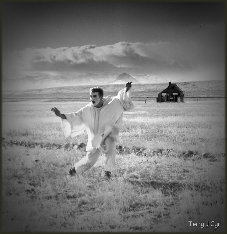 "Mime Field!" by Terry J Cyr | Redbubble