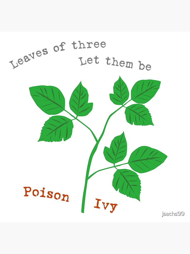 "Leaves of Three" Poster for Sale by jsachs99 | Redbubble