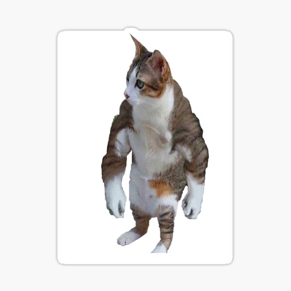 "Buff Cat" Sticker for Sale by lhollington | Redbubble