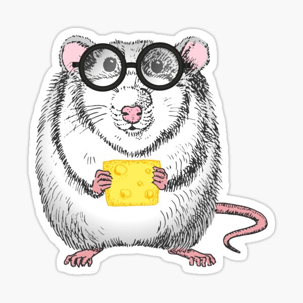 "Hand-drawn illustration of a white rat " Sticker for Sale by Ellv ...