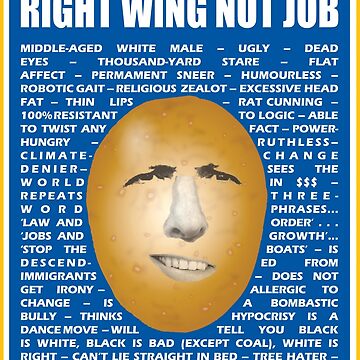 "How to Spot a Right Wing Nut Job" Essential T-Shirt for Sale by ...