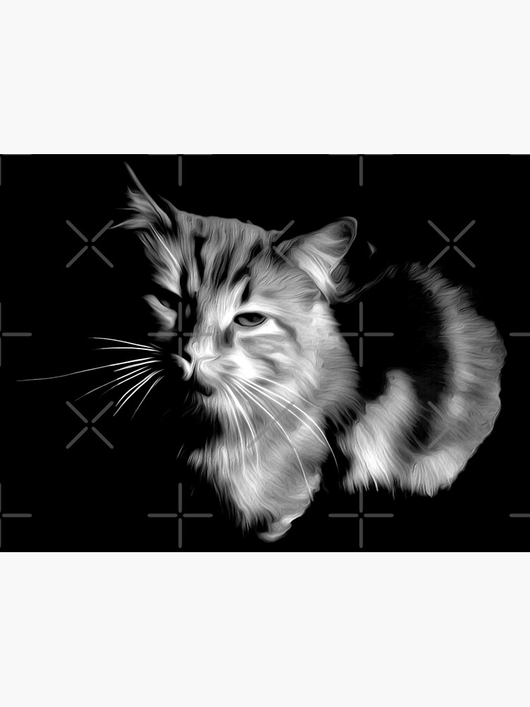 Lámina Fotográfica «gato De Bengala Maine Coon Super Negativo De