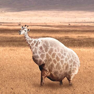 "Cute Funny Fat Giraffe" Sticker for Sale by SkylerJHill | Redbubble