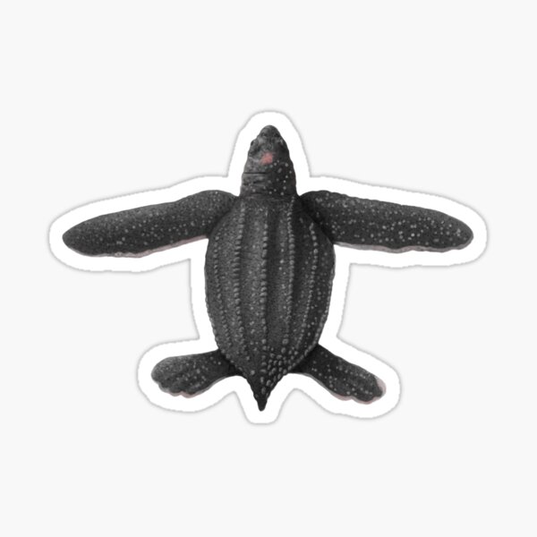 "Leatherback turtle illustration" Sticker by befehr | Redbubble