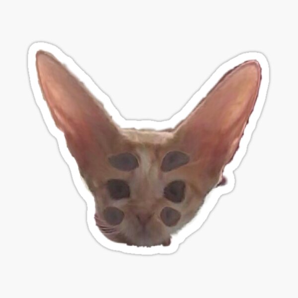 fukcingcats Shop | Redbubble