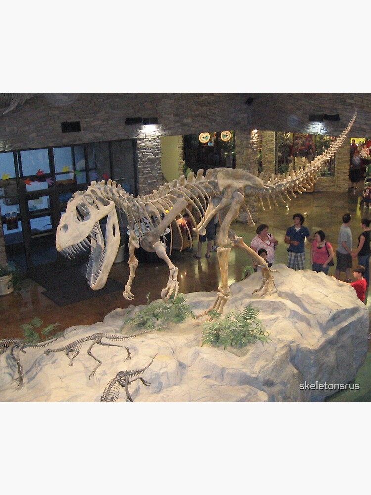 "Pretty Saurophaganax" Sticker for Sale by skeletonsrus | Redbubble