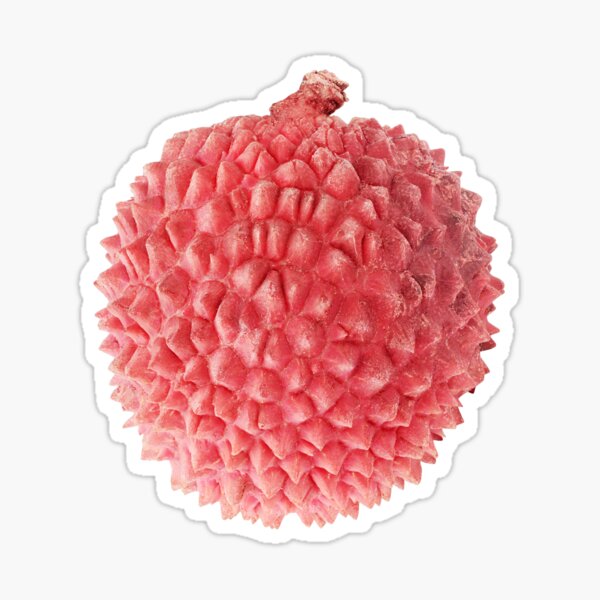 "Lychee fruit" Sticker for Sale by 6hands | Redbubble