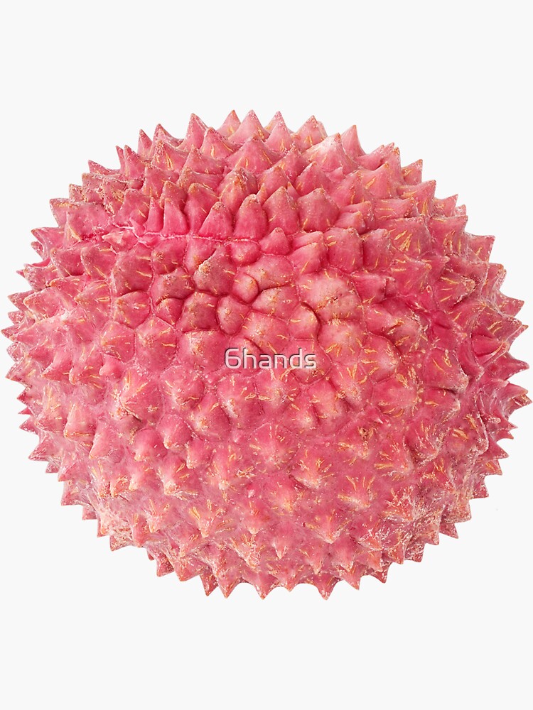"Lychee" Sticker by 6hands | Redbubble