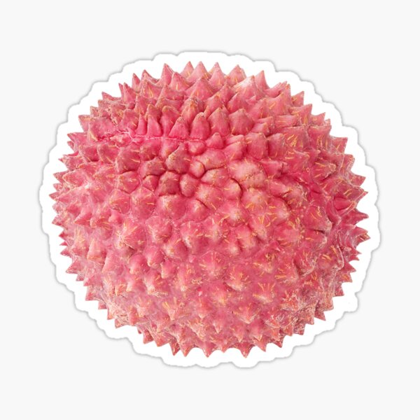 "Lychee" Sticker by 6hands | Redbubble