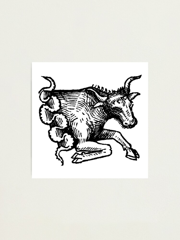 "Medieval Zodiac Horoscope Taurus the Bull" Photographic Print for Sale ...