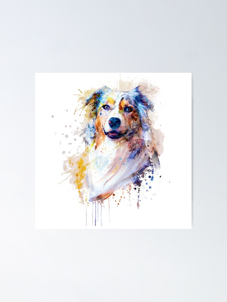 "Australian Shepherd Dog Portrait" Poster by caracatita75 | Redbubble