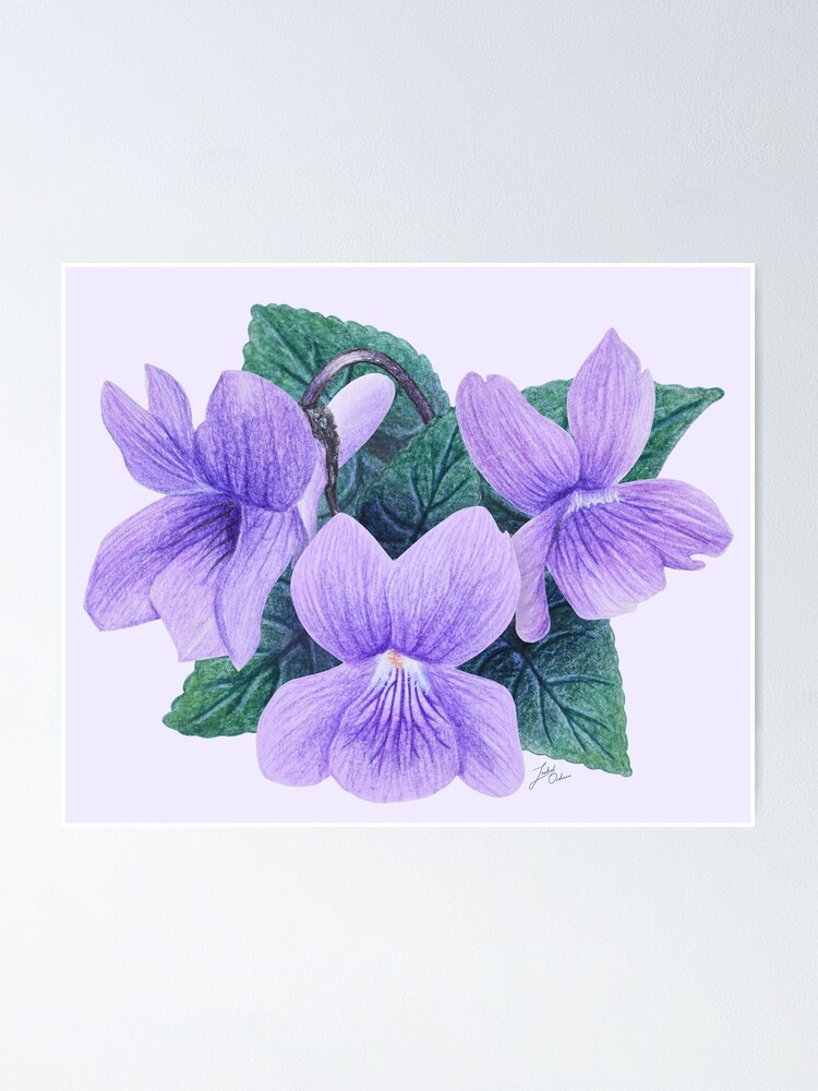 "Violets" Poster for Sale by Isabel1720 | Redbubble