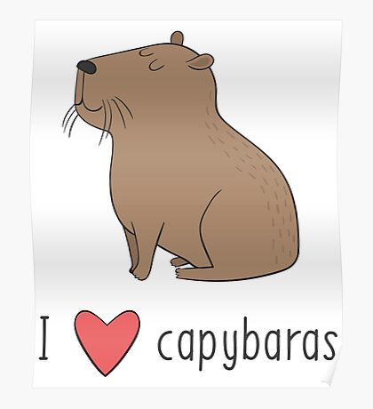 Capybara Posters | Redbubble