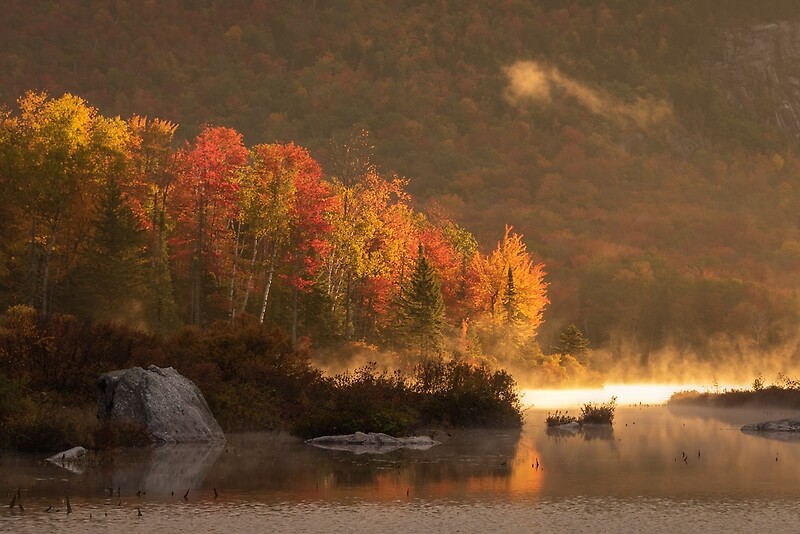 "Groton State Forest, Vermont" by mattmacpherson | Redbubble