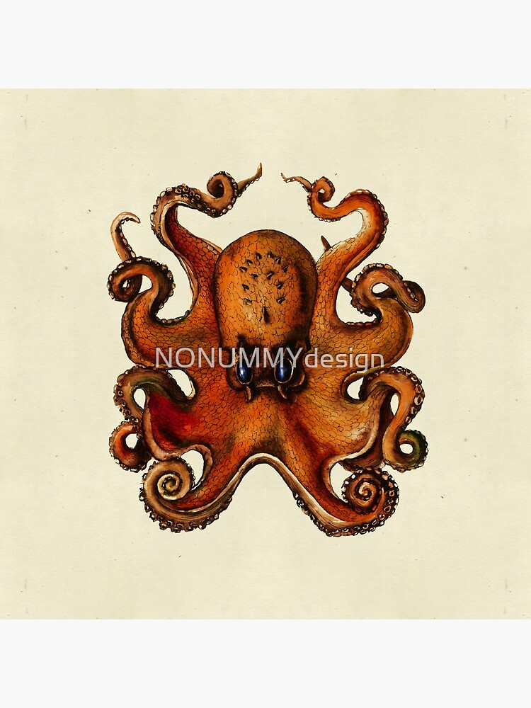 "Octopus botanical illustration" Poster for Sale by NONUMMYdesign ...