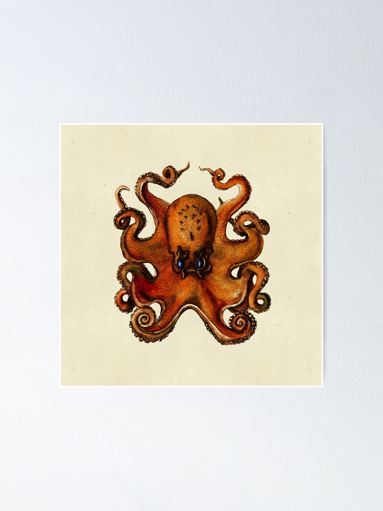 "Octopus botanical illustration" Poster for Sale by NONUMMYdesign ...