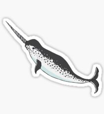 Narwhal: Stickers | Redbubble
