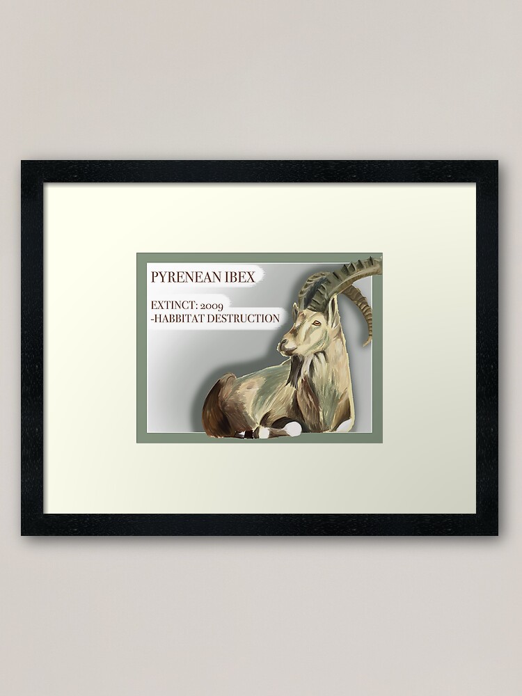 "Pyrenean Ibex" Framed Art Print for Sale by AtCatGeorge | Redbubble