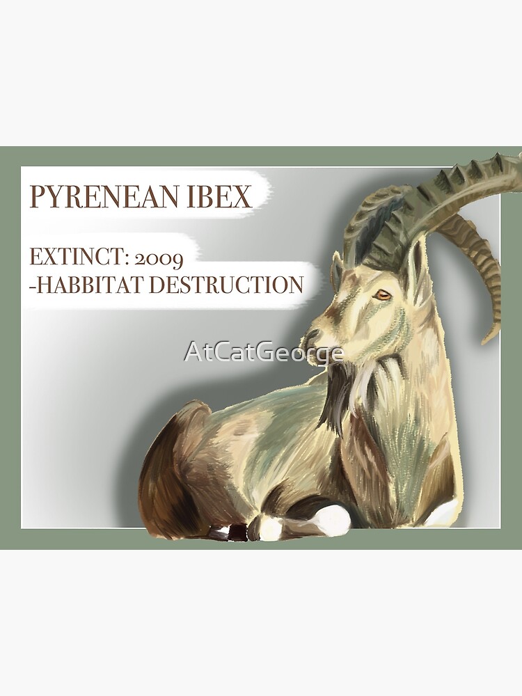 "Pyrenean Ibex" Framed Art Print for Sale by AtCatGeorge | Redbubble