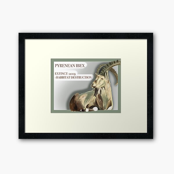 "Pyrenean Ibex" Framed Art Print for Sale by AtCatGeorge | Redbubble