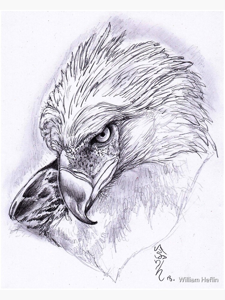 "Traditional Filipino Monkey Eagle!!" Sticker for Sale by William ...