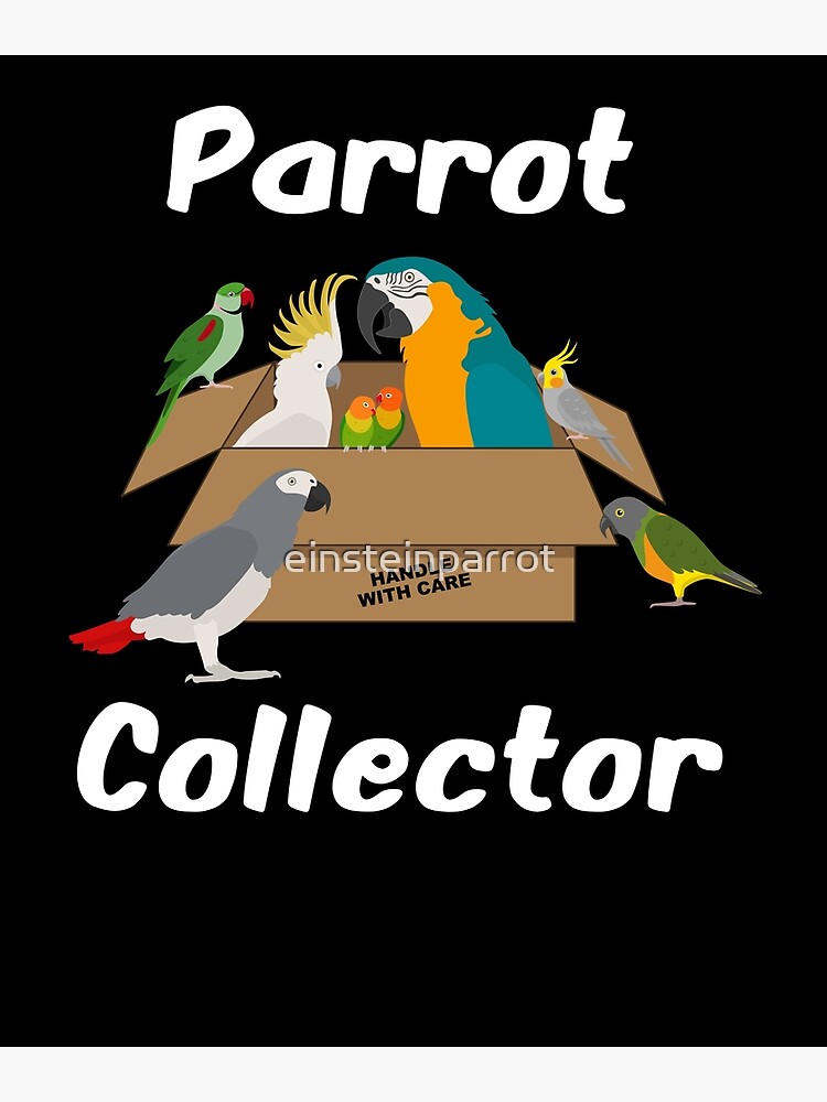 "Funny Parrot Collector design" Poster for Sale by einsteinparrot ...
