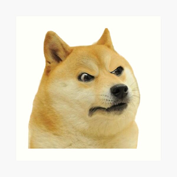 "Angry Doge" Art Print for Sale by csa5418 | Redbubble