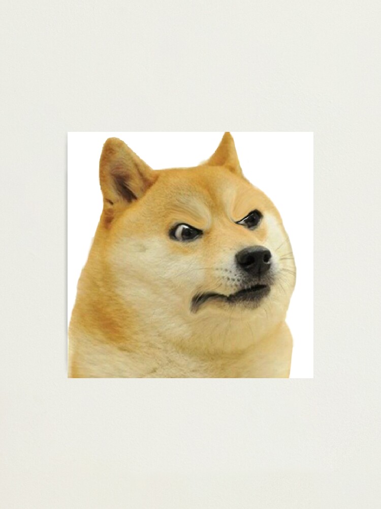 Angry Doge Meme AI Art: Awfully Bad Doge Memes Por