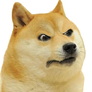 Doge Angry Memes