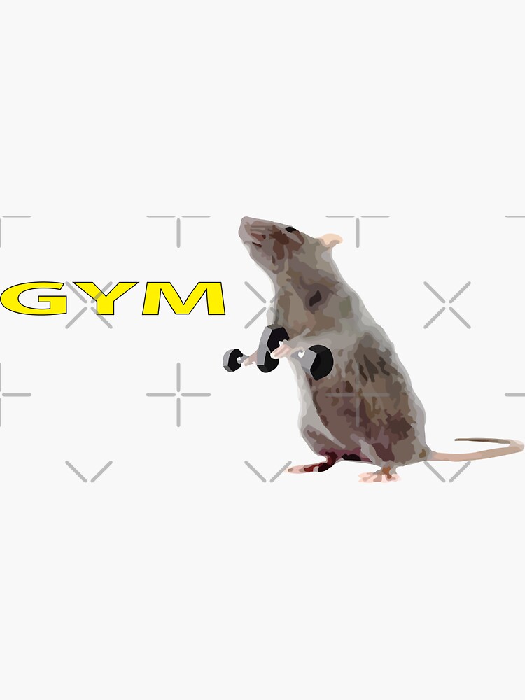"GYM RAT" Sticker for Sale by musclepop | Redbubble