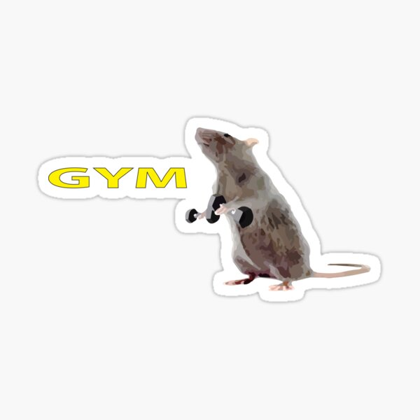 "GYM RAT" Sticker for Sale by musclepop | Redbubble