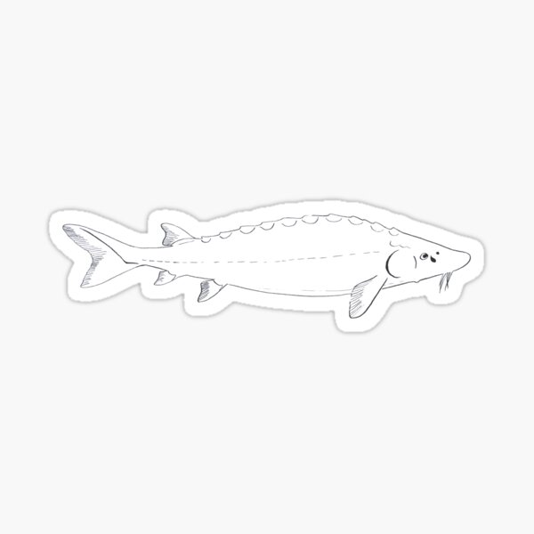 "Stu" Sticker by topazly | Redbubble