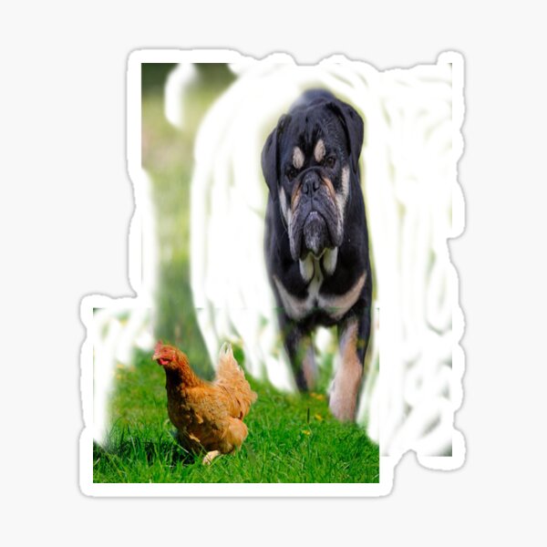 " TOLMY, AND, HER, FRIEND, GALI," Sticker by solgel47 | Redbubble