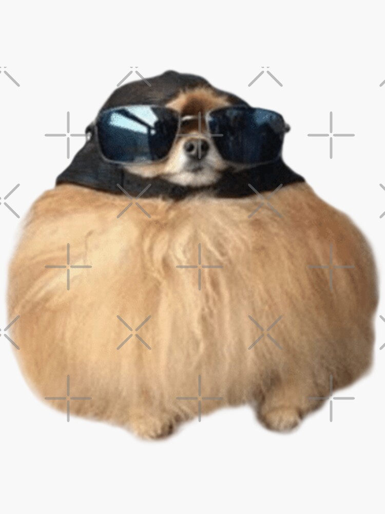 "Round Doggo" Sticker for Sale by Elisecv | Redbubble