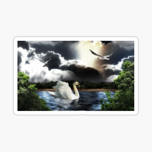 "Swan" Sticker by Mystery1 | Redbubble