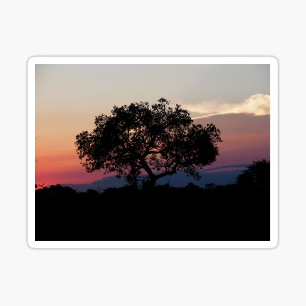 Marula Gifts & Merchandise | Redbubble