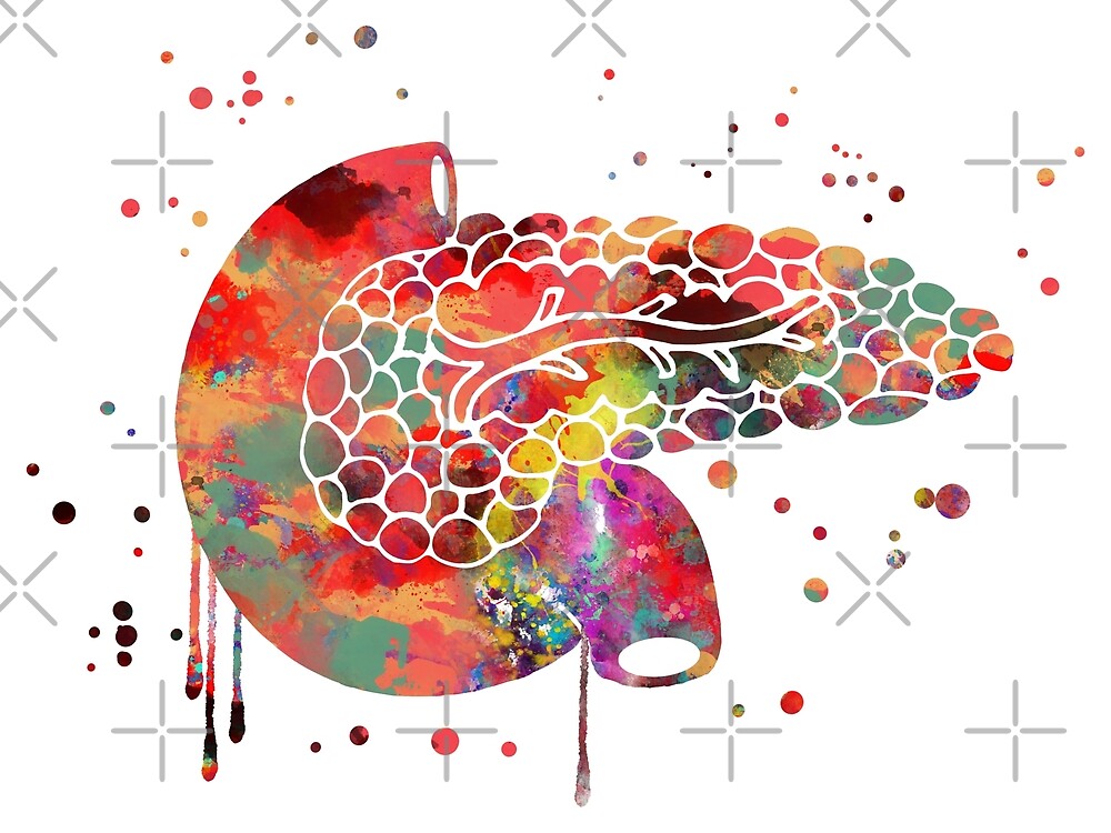 "Pancreas, pancreas print, watercolor pancreas, medical art, human ...