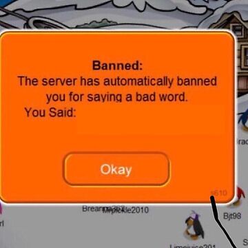 "Club Penguin Custom Ban" Magnet for Sale by emcdonaugh17 | Redbubble