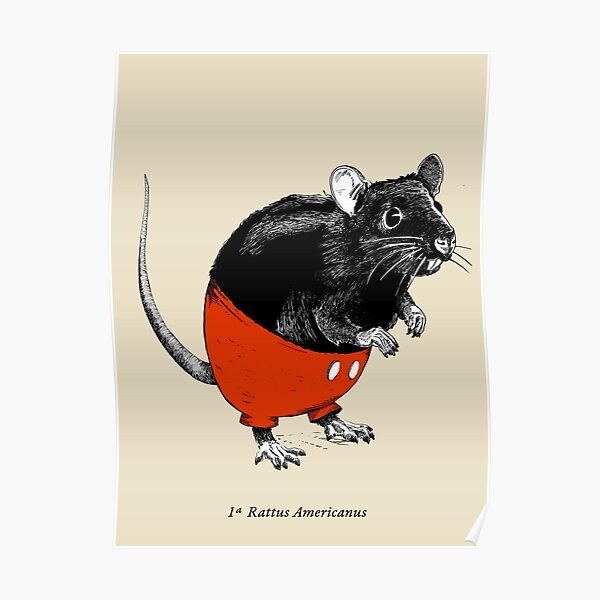 "Rattus Americanus" Poster for Sale by Lopesco | Redbubble