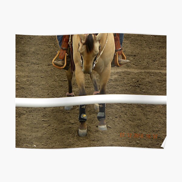 Póster «Hooves/Feet Horse/ Rider» de graysart | Redbubble