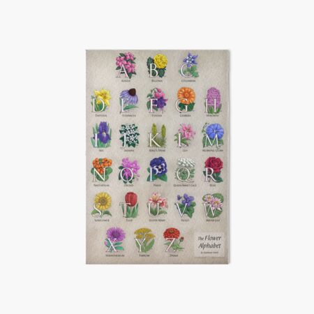 "The Floral Alphabet" Art Board Print by stephsmith | Redbubble