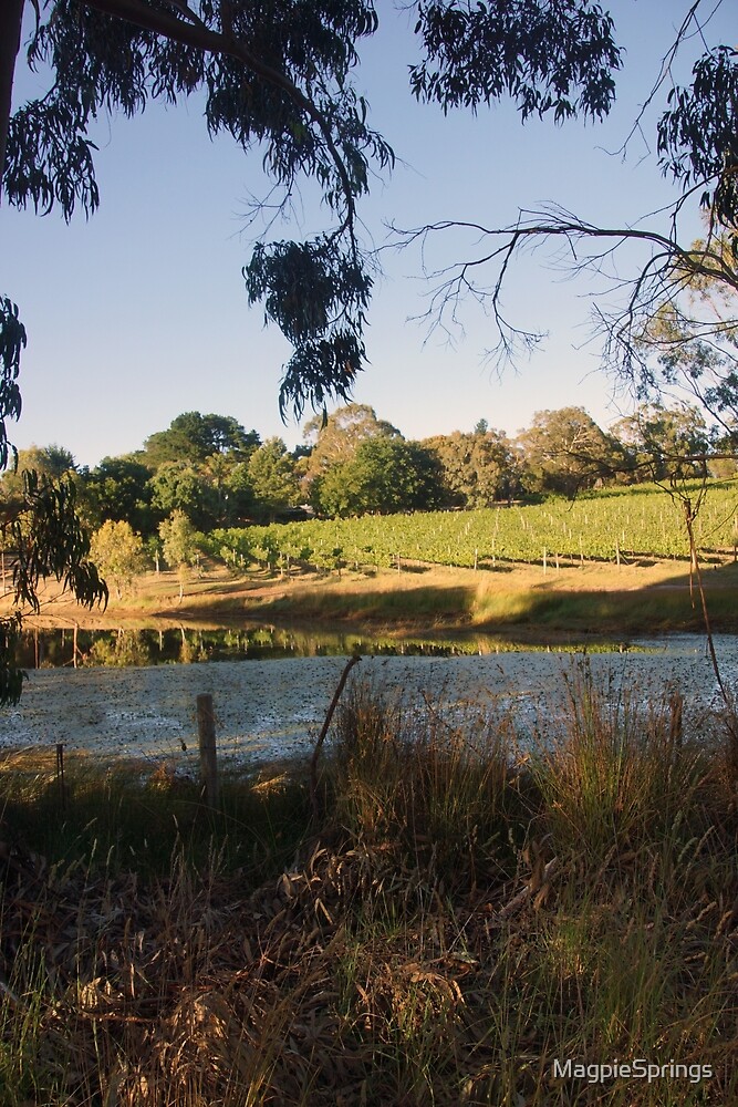 "The Pinot Patch - Adelaide Hills - Fleurieu Peninsula - by South ...