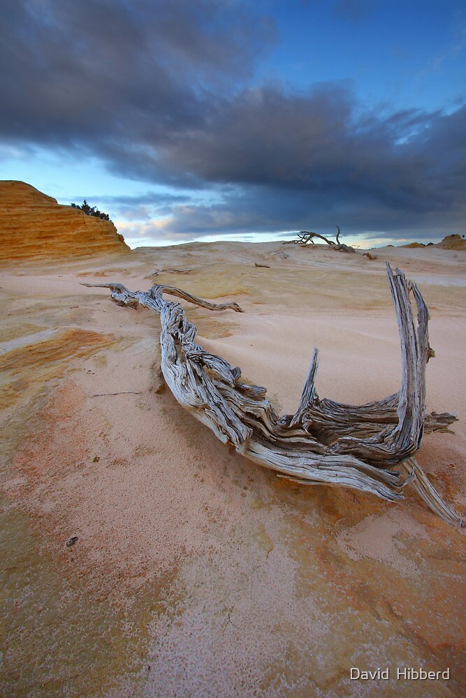 "The Gnarled & Colourful World of Mungo" by David Hibberd | Redbubble