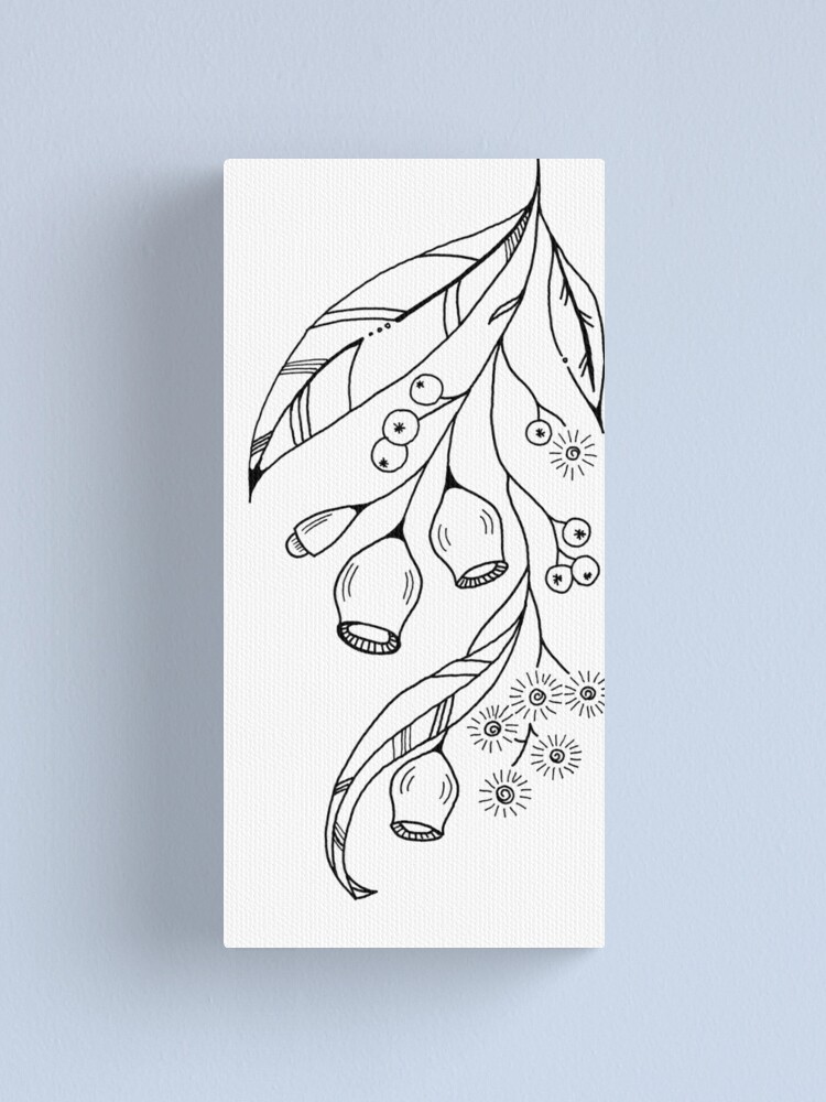 "Gum nuts - gum tree drawing" Canvas Print for Sale by EveiArt | Redbubble