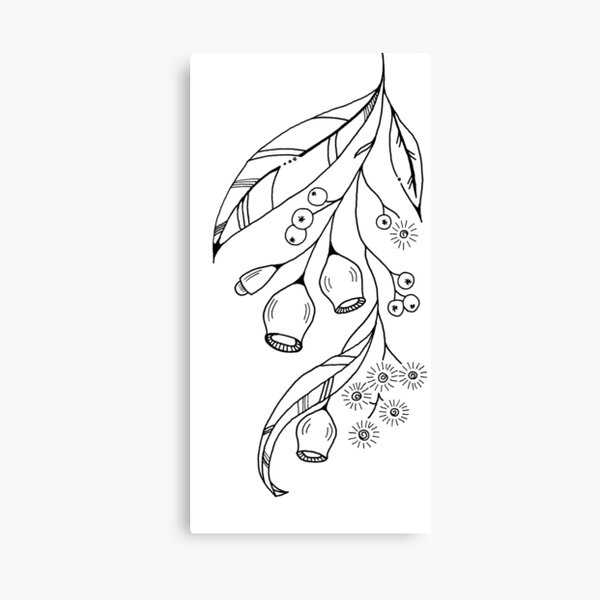 "Gum nuts - gum tree drawing" Canvas Print for Sale by EveiArt | Redbubble