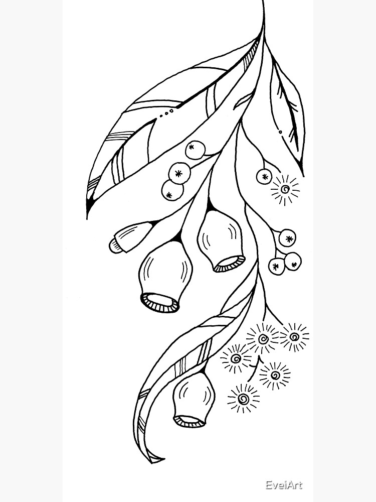 "Gum nuts - gum tree drawing" Sticker for Sale by EveiArt | Redbubble