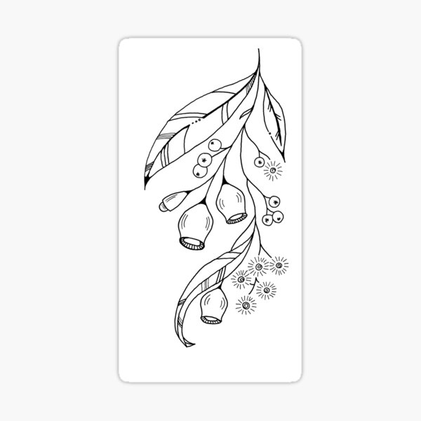 "Gum nuts - gum tree drawing" Sticker for Sale by EveiArt | Redbubble