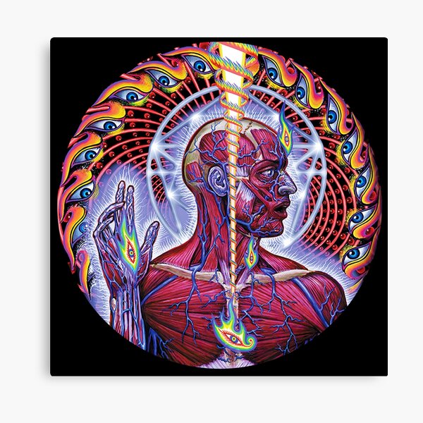 Alex Grey Canvas Prints | Redbubble