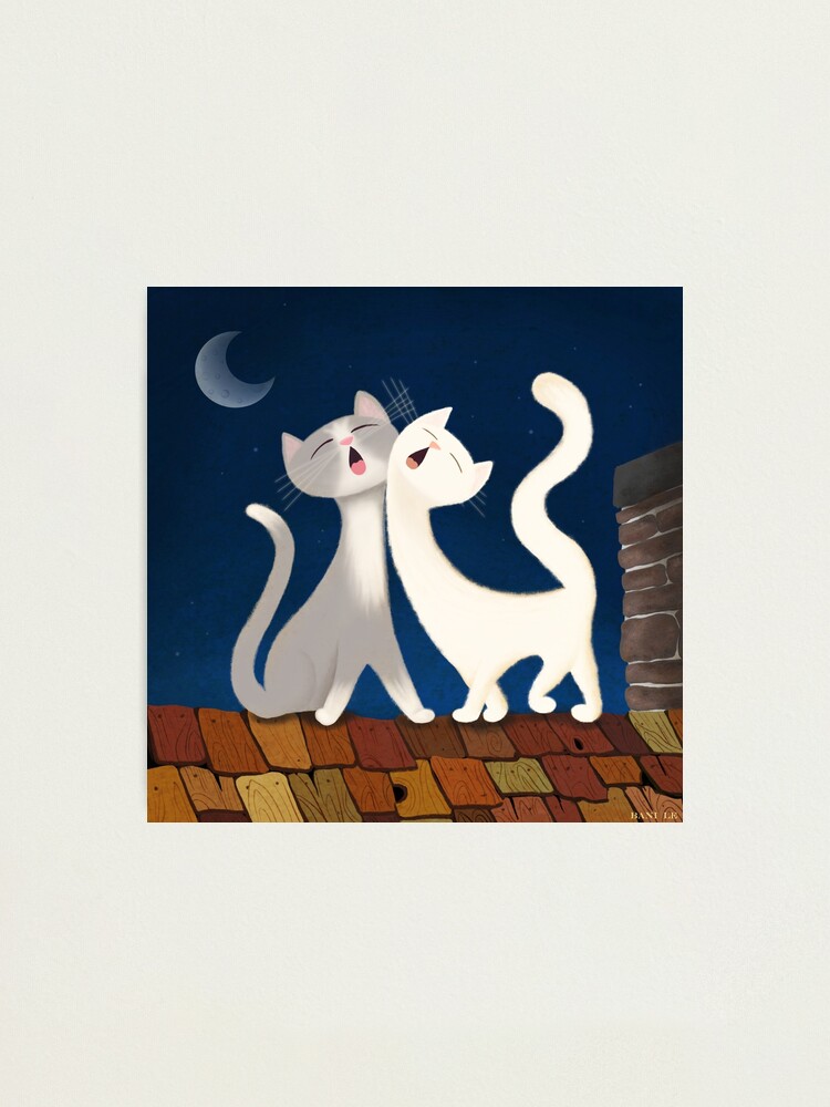 "Moonlight Kitty Cat Serenade " Photographic Print for Sale by ...